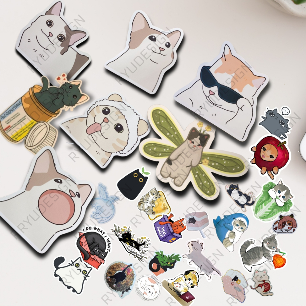 Jual Cat Sticker Stiker Kucing Aesthetic Meme Lucu Besar Vol 2 Anabul ...
