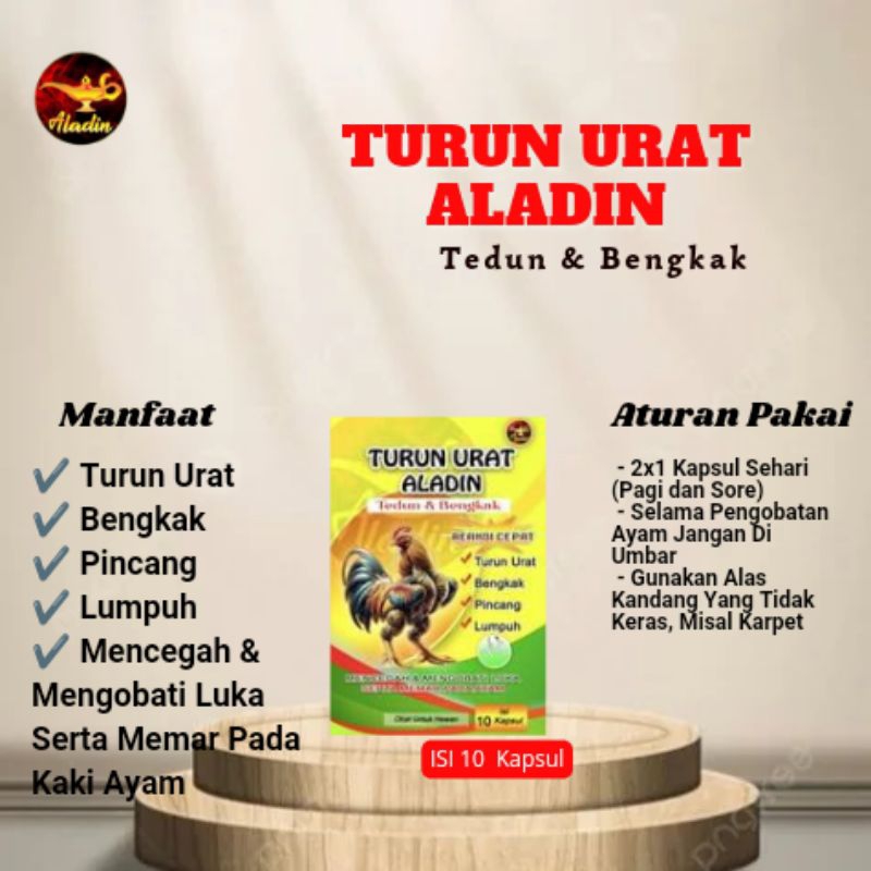 Jual OBAT TURUN TEDUN ALADIN 10kapsul | Shopee Indonesia