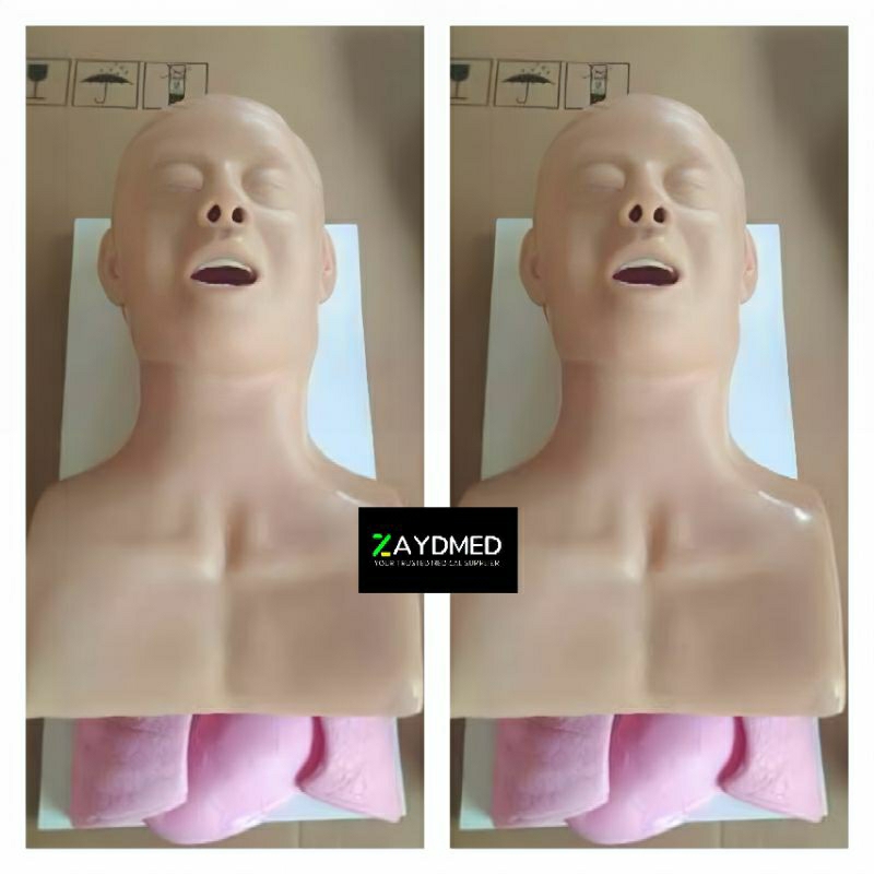Jual Phantom Manikin Intubasi Airway Lokal/ Manikin Airway Dewasa ...