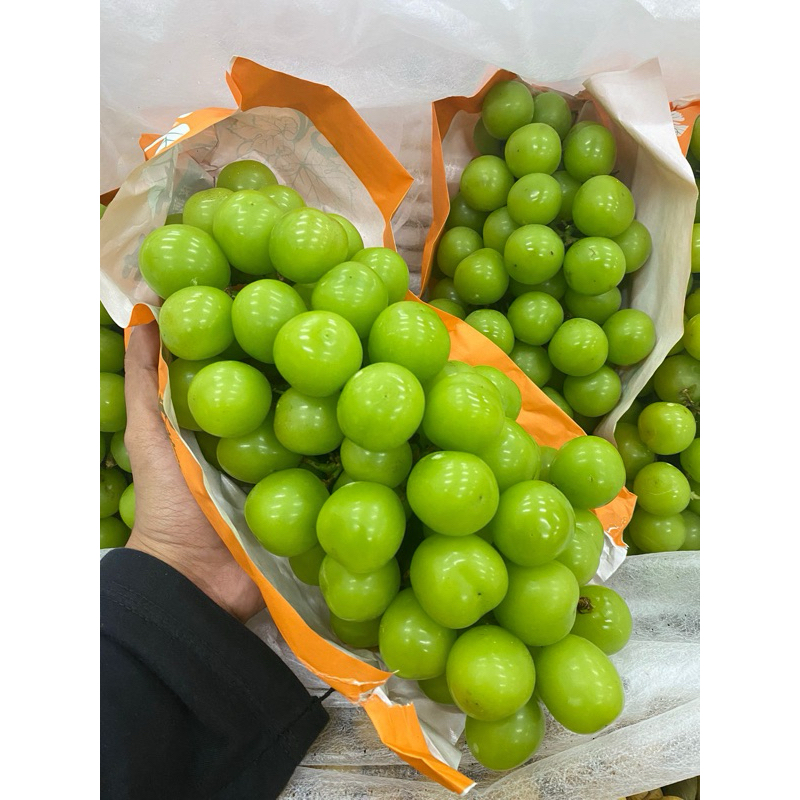 Jual anggur shine muscat tanpa biji 1kg | Shopee Indonesia