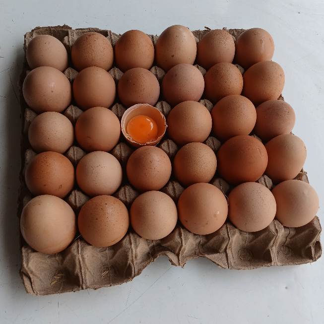 Jual TELOR OMEGA JUMBO isi 1kg /Telur Ayam/Telur Murah/telor omega 3 ...