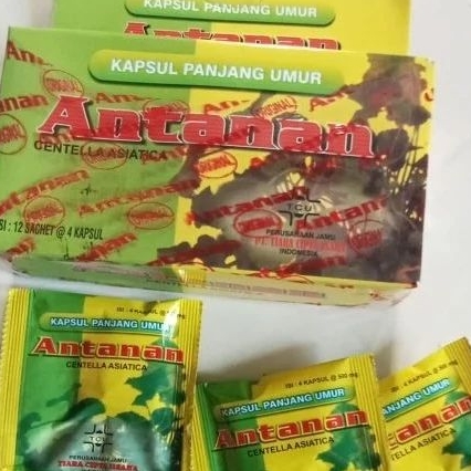 Jual Antanan KAPSUL isi 12sachet original | Shopee Indonesia