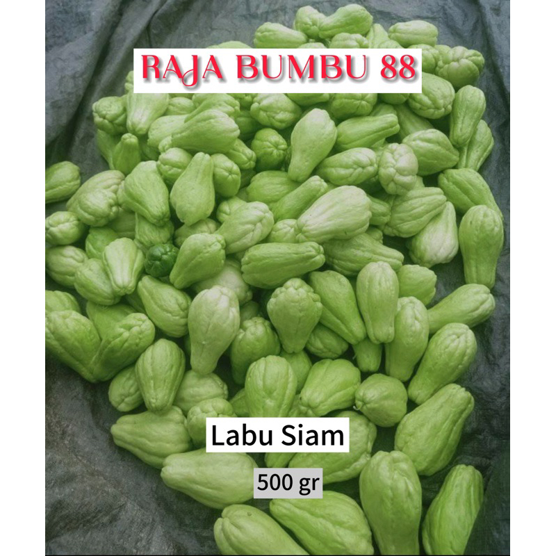 Jual LABU SIAM BESAR DAN LABUSIAM KECIL (lalap) 500gr | Shopee Indonesia