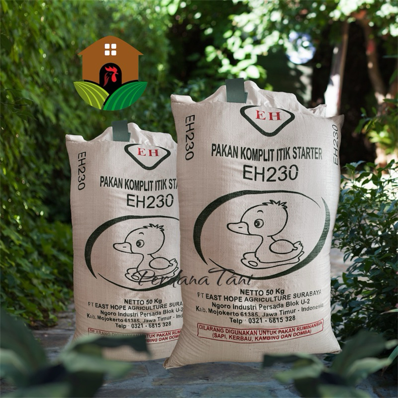 Jual Pur bebek pedaging / ayam pedaging / 1 kg / penggemukan / DOC DOD ...