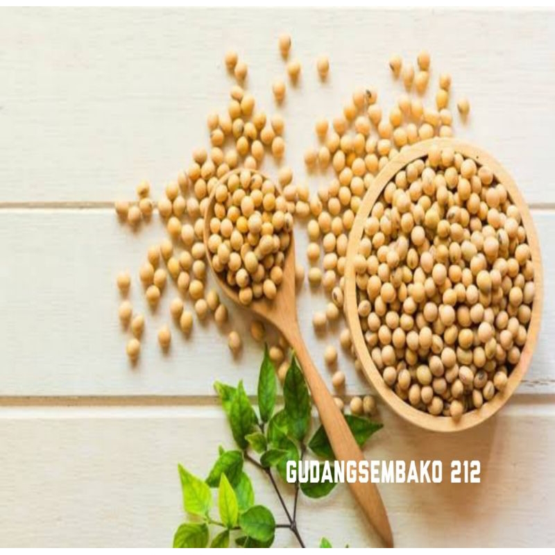 Jual Kacang Kedelai Super Import 1kg(grade.A)Kacang Kedele Impor ...