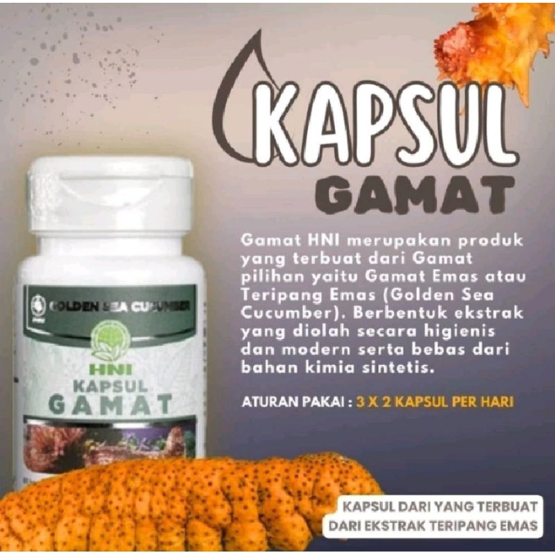 Jual GAMAT ( obat nyeri sendi) | Shopee Indonesia