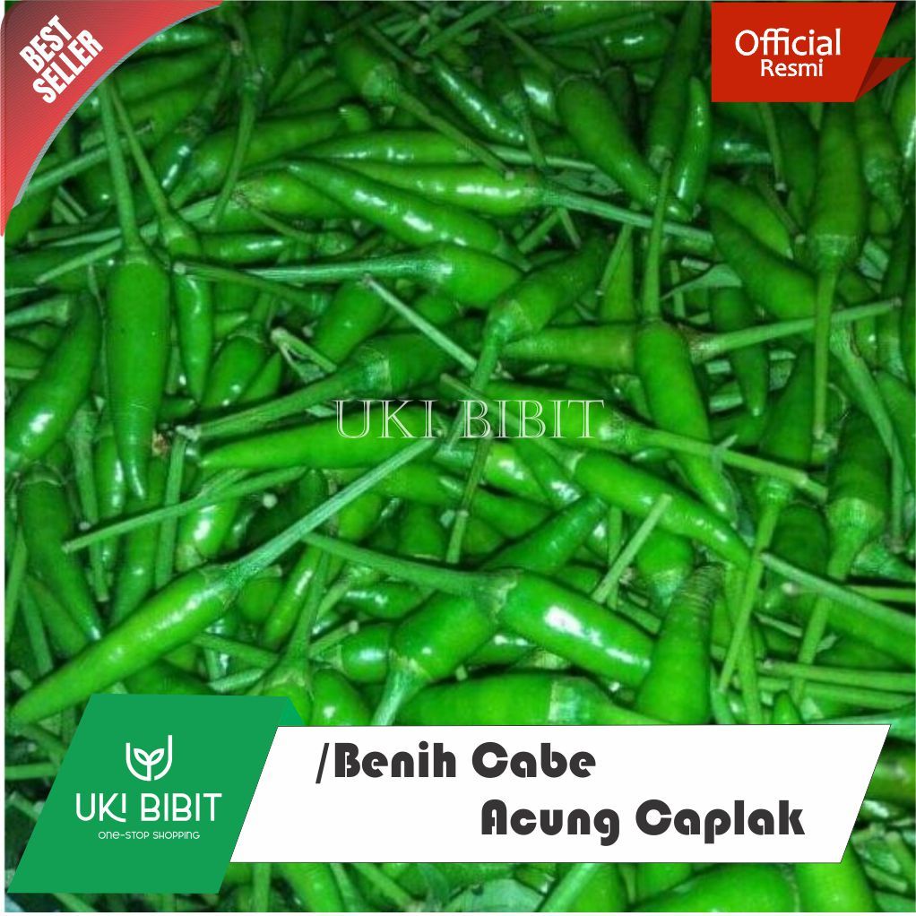 Jual ( 20 Butir ) Benih Cabe Acung | Caplak | Shopee Indonesia
