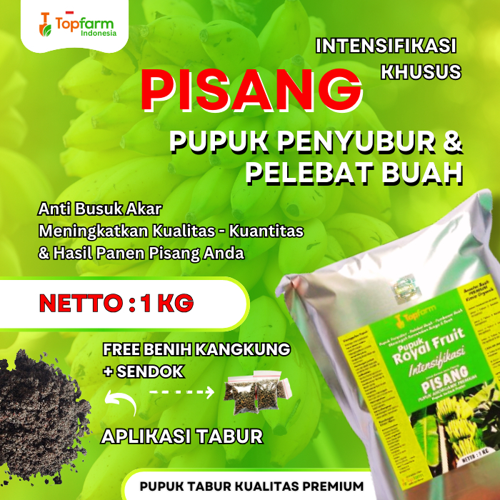 Jual Pupuk Pisang Agar Cepat Berbuah Bagus / Pupuk Booster Buah Pisang Terbaik / Pupuk Pisang ...