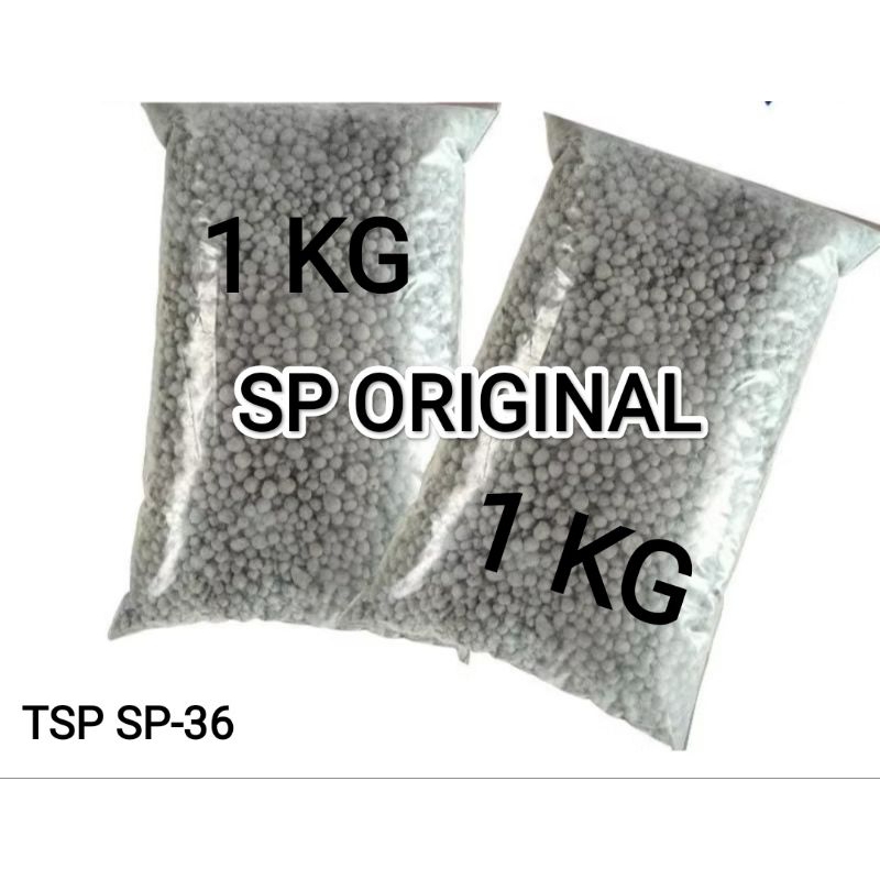 Jual PUPUK TSP SP 36 1 KG ORIGINAL REPACK Pupuk Tani Penyubur dan Pembenah Tanah | Shopee Indonesia