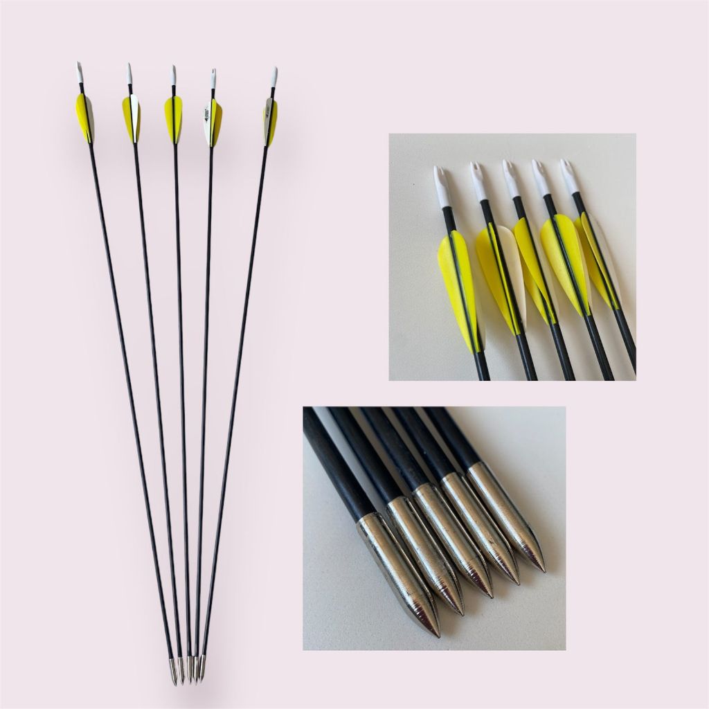 Jual (12 PCS) ANAK PANAHAN ARROW, ARROW FIBERGLASS PANAHAN 8MM | Shopee ...