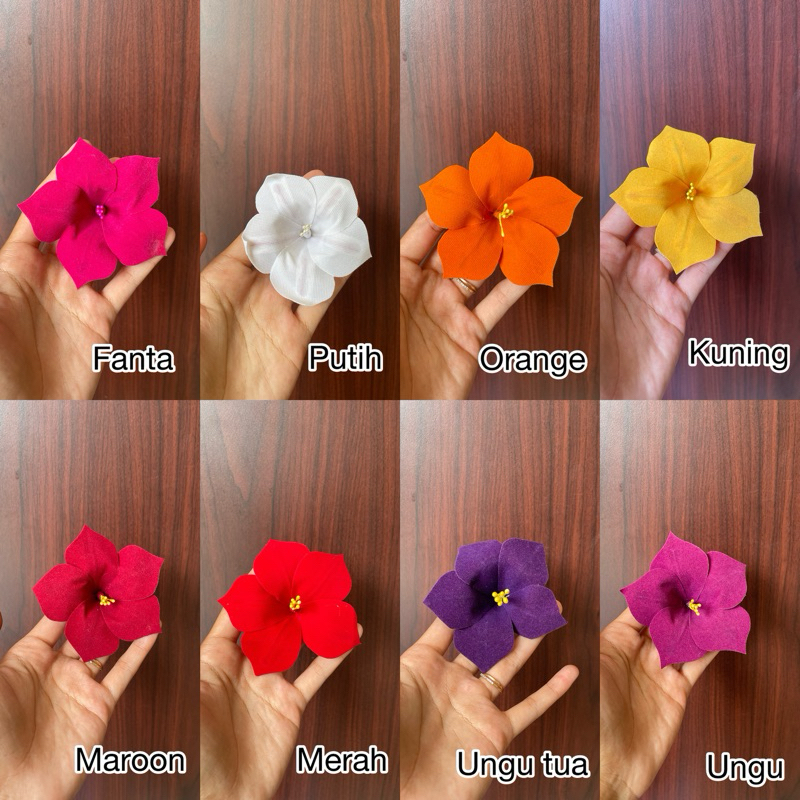 Jual pucuk bludru / pucuk rejuna / tusuk pucuk bang bali/ hiasan ...