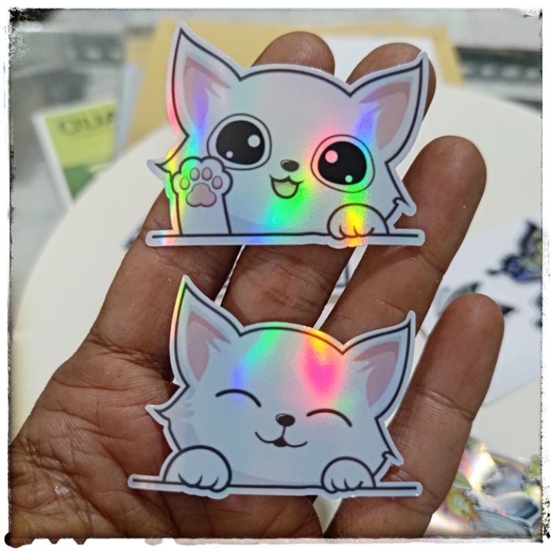 Jual sticker kucing lucu harga satuan | Shopee Indonesia