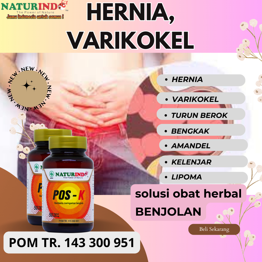 Jual Obat hernia varikokel paling ampuh lipoma gondok kista turun berok ...