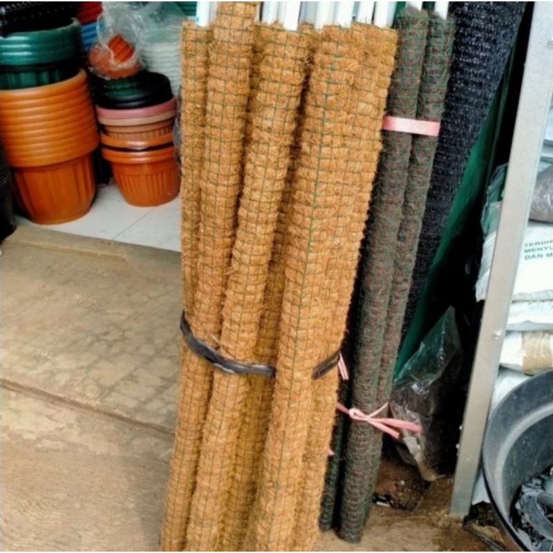 Jual Ajir tiang penyangga tanaman - turus 1 meter | Shopee Indonesia