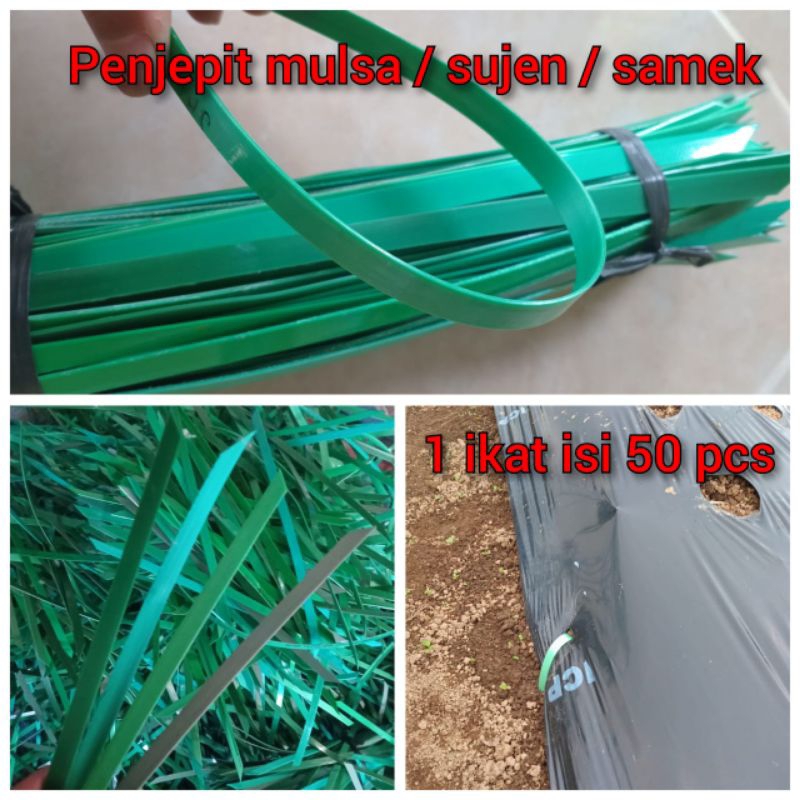 Jual Penjepit Tusuk Mulsa Sujen Premium Tebal Murah Pengganti Bambu 1 ...