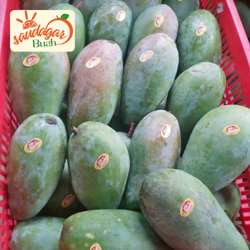 Jual BUAH MANGGA THAILAND / MANGGA KIOJAY MENGKEL GARING 1KG | Shopee ...
