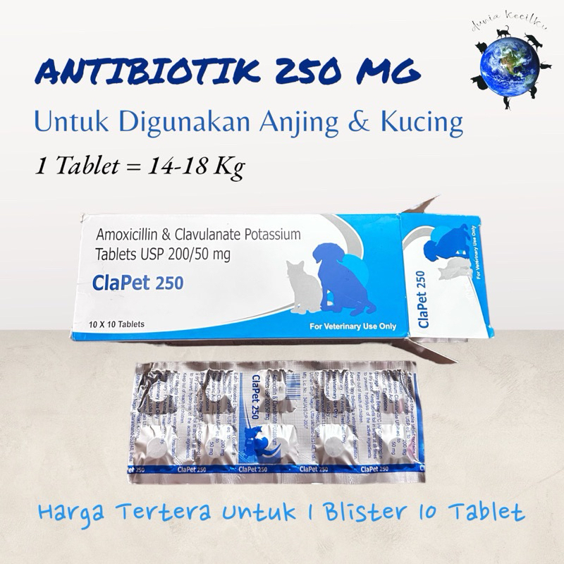 Jual Clapet 250 Antibiotic Kucing Anjing Atasi Luka / Infeksi Kulit ...