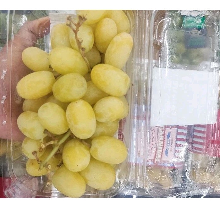 Jual Anggur Golden Seedless Sweet Usa 1 Pack | Shopee Indonesia