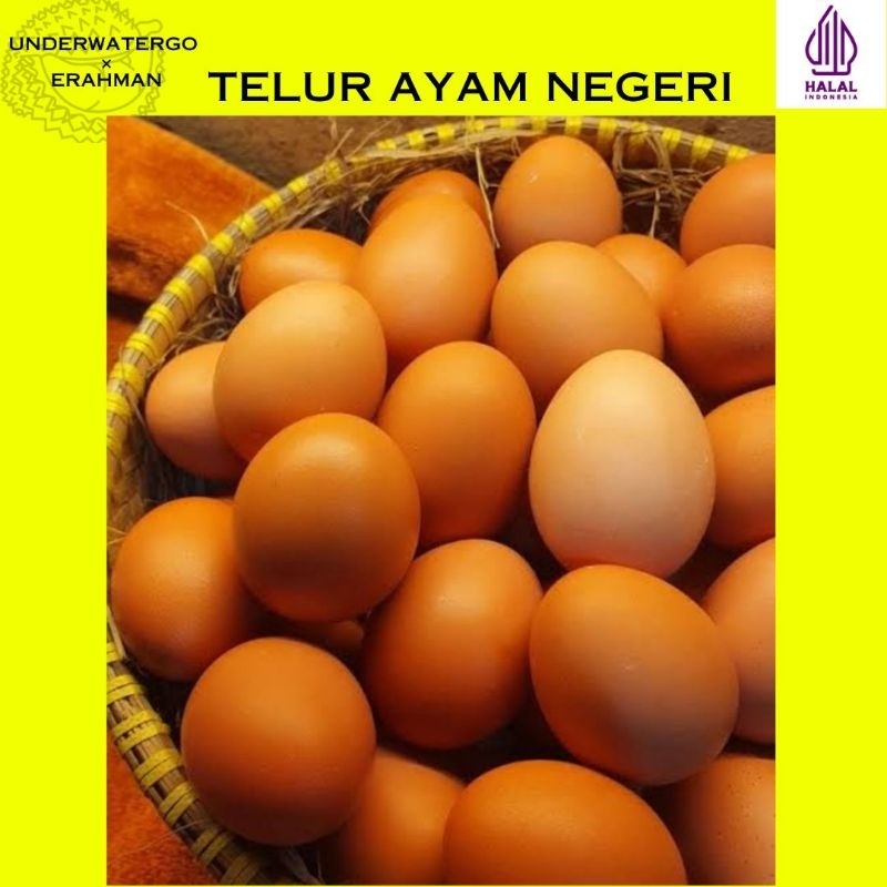 Jual TELUR AYAM NEGERI PREMIUM 1KG ISI 17 BUTIR TERMURAH | Shopee Indonesia