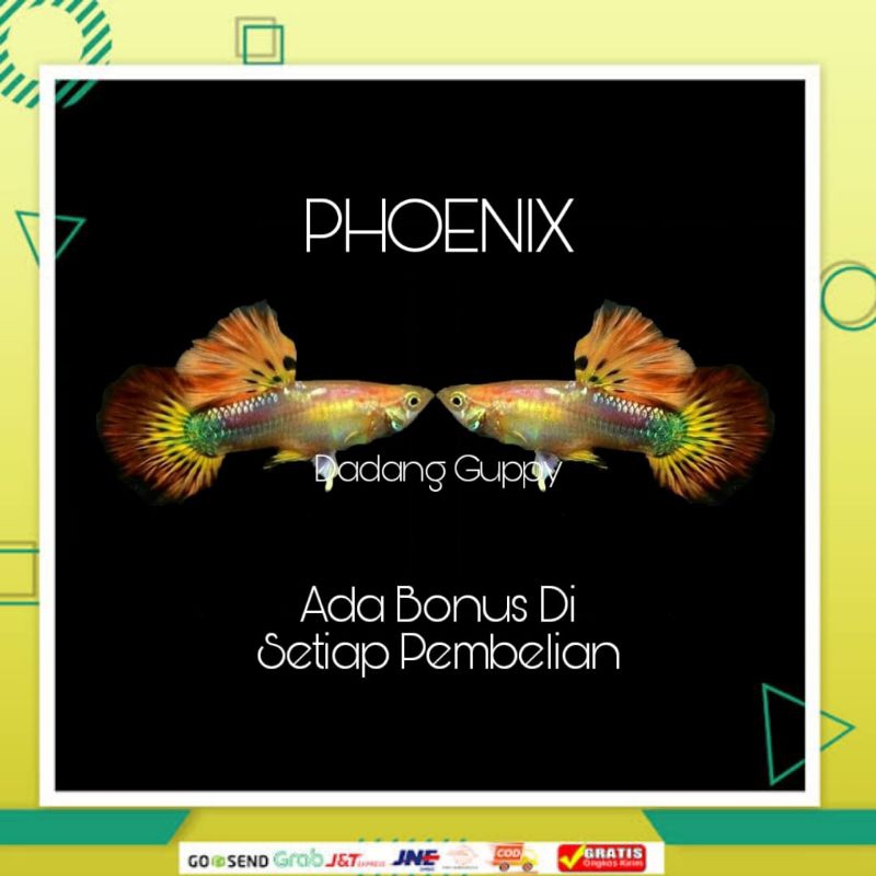 Jual Packing Styrofoam ( Phoenix Rose Tail ) | Shopee Indonesia