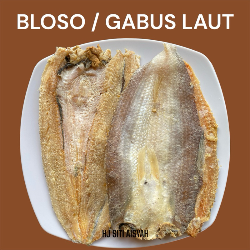 Jual ikan asin Gabus laut/bloso kering = 250g/500g/1kg best seller ...