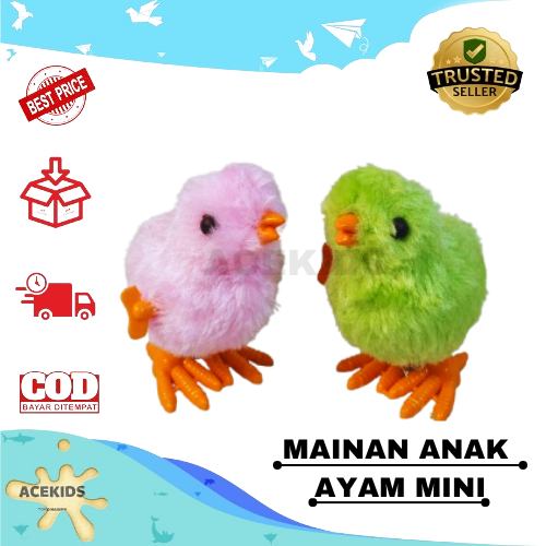 Jual Mainan Anak Anak Ayam Itik Bejalan Kecil Mini Hewan Edukasi ...