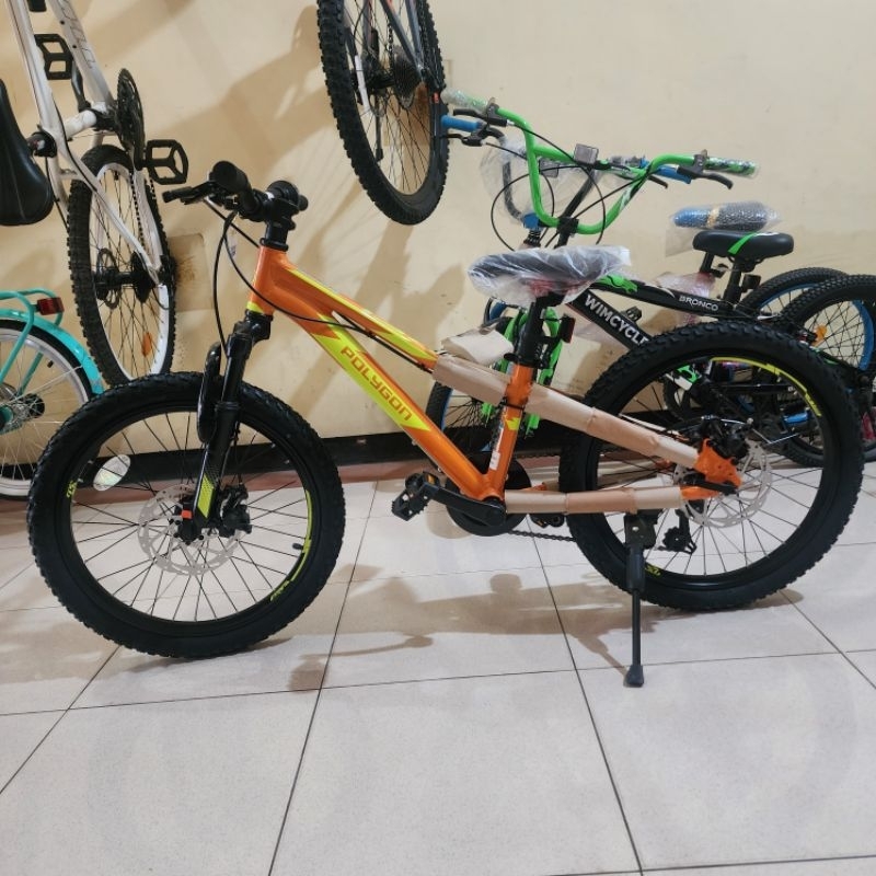 Jual Sepeda MTB 20 POLYGON RELIC 20 SEPEDA GUNUNG ANAK | Shopee Indonesia
