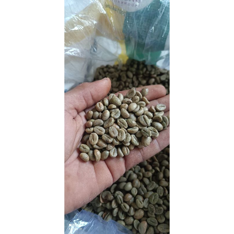 Jual green bean robusta arjuno grade 1. kemasan 1kg | Shopee Indonesia