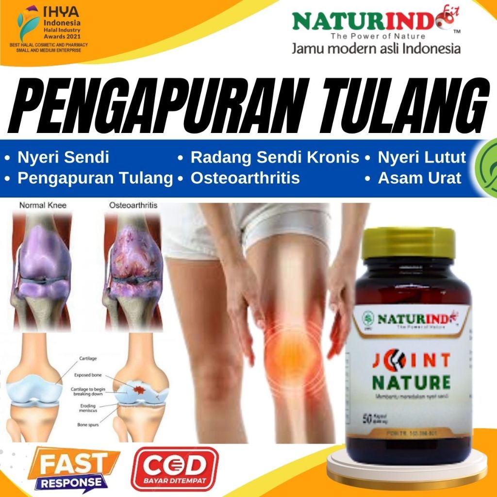 Jual Obat Osteoarthritis Pengapuran Tulang paling ampuh Nyeri Sendi ...