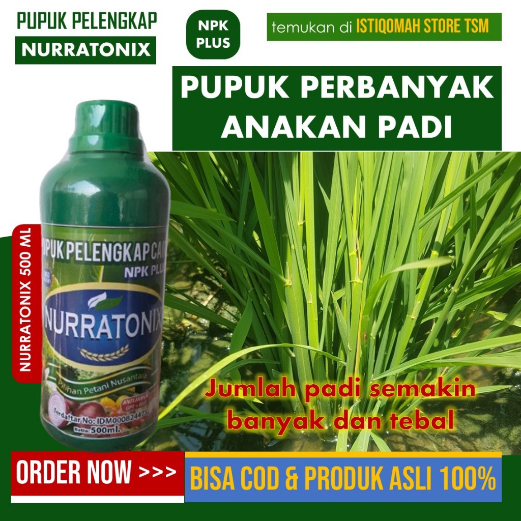 Jual Pupuk Rahasia Panen Melimpah Anakan Padi Lebih Banyak, Tanaman Lebat, dan Hasil Akhir Bobot ...