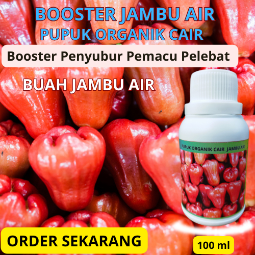 Jual Pupuk Jambu Air | Pupuk Booster Pemacu Penyubur Pelebat Buah Jambu Air | Pupuk Organik ...