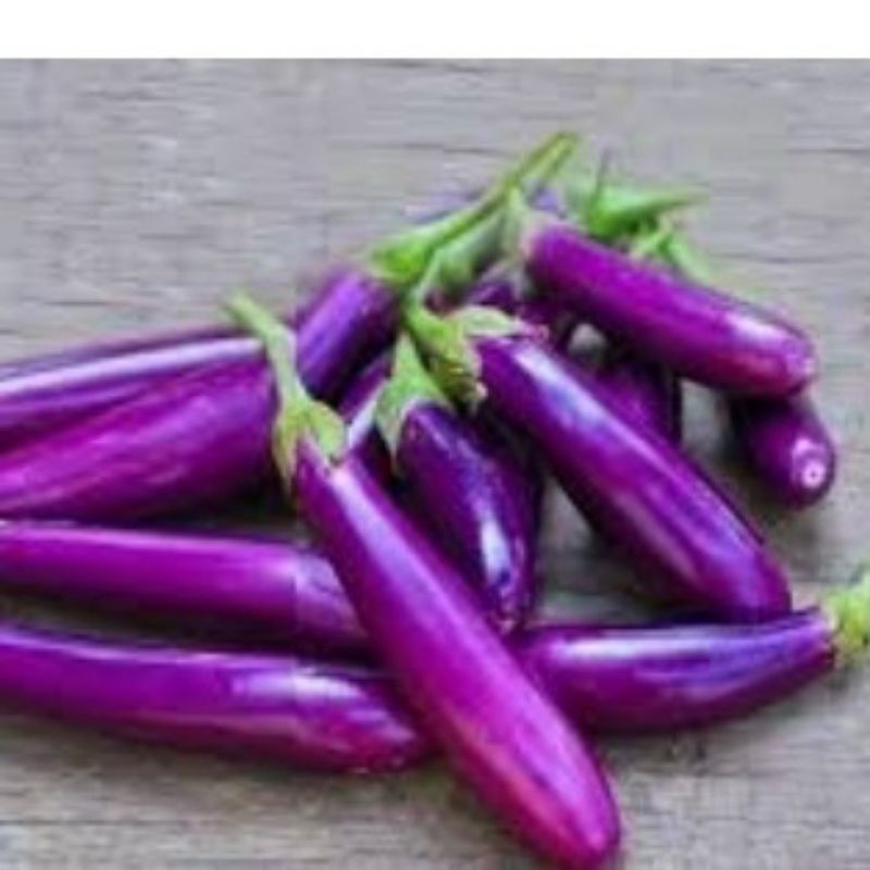 Jual terong ungu muda 1kg | Shopee Indonesia