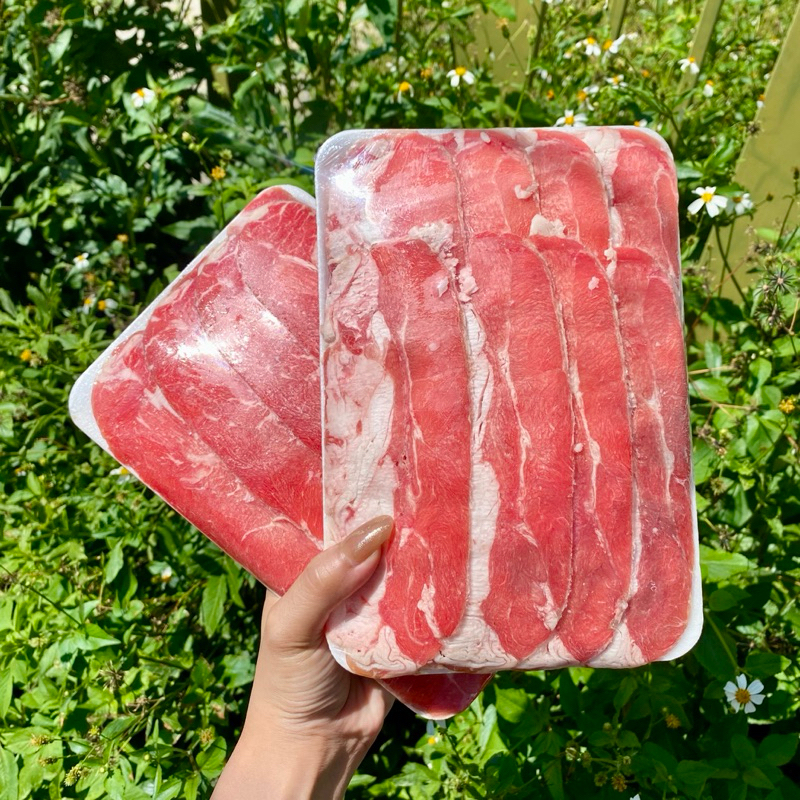 Jual Beef Slice Fat / Yoshinoya slice 500gr | Shopee Indonesia