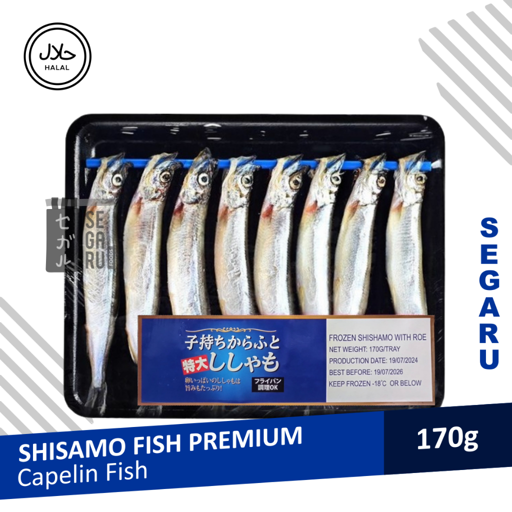Jual Ikan Shisamo Fish | Capelin Fish Premium Import Frozen | Shopee ...