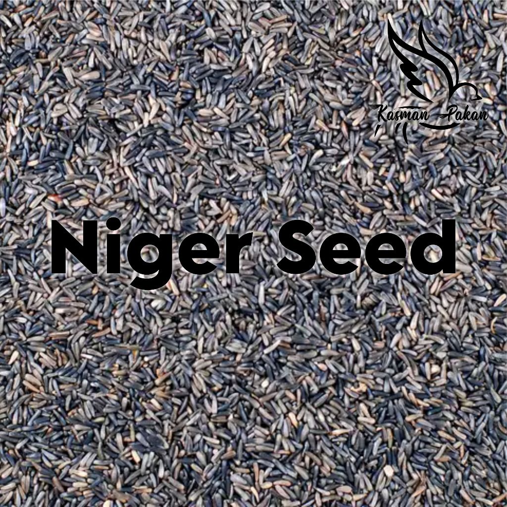 Jual Niger Seed Pakan Kenari Ternak Kiloan Bersih Murah Harian 1kg ...