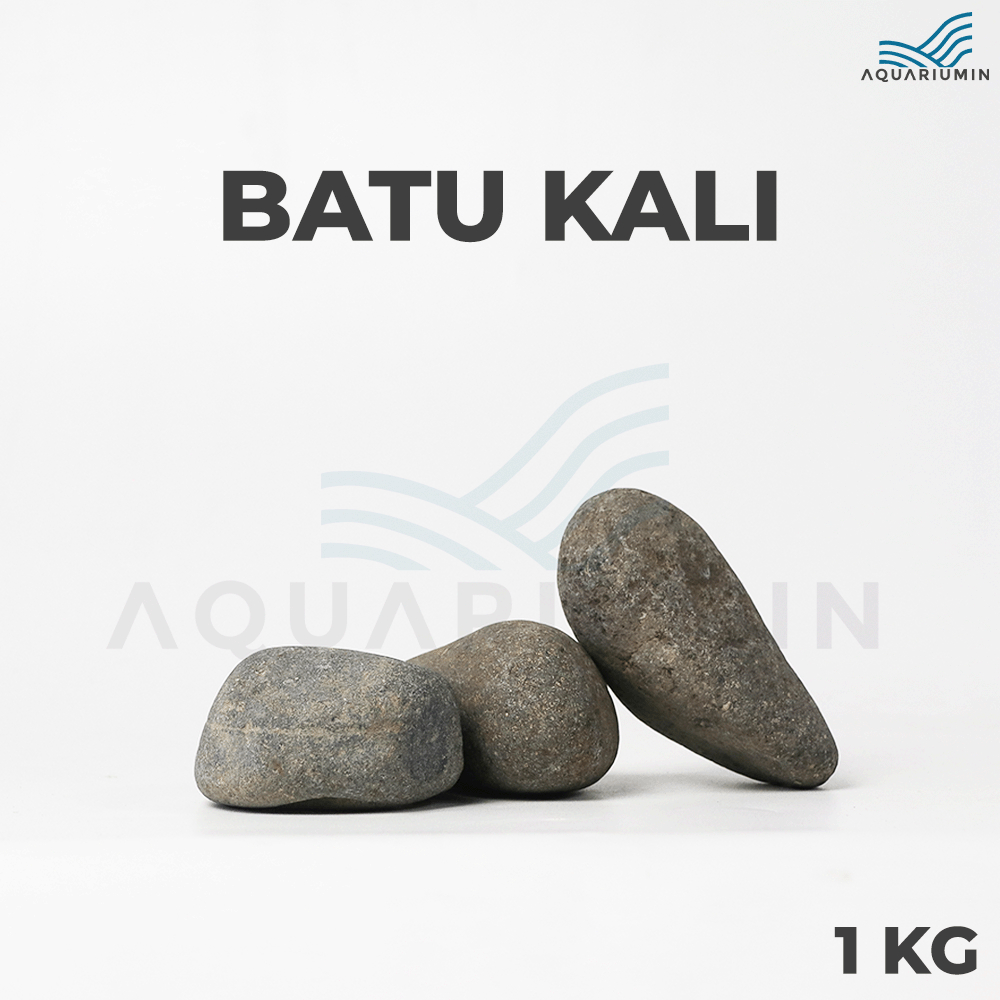 Jual Batu Kali Terlengkap & Harga Terbaru April 2026 | Shopee Indonesia