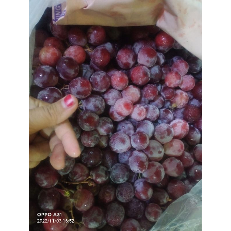 Jual Anggur | Shopee Indonesia