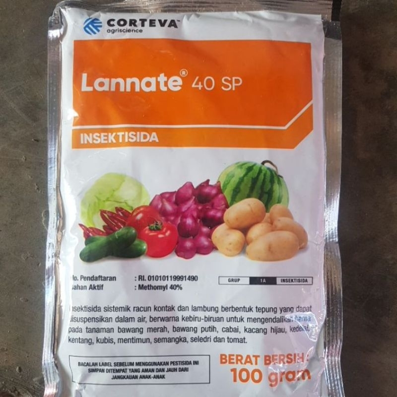 Jual LANNATE 40sp Insektisida 100gram | Shopee Indonesia