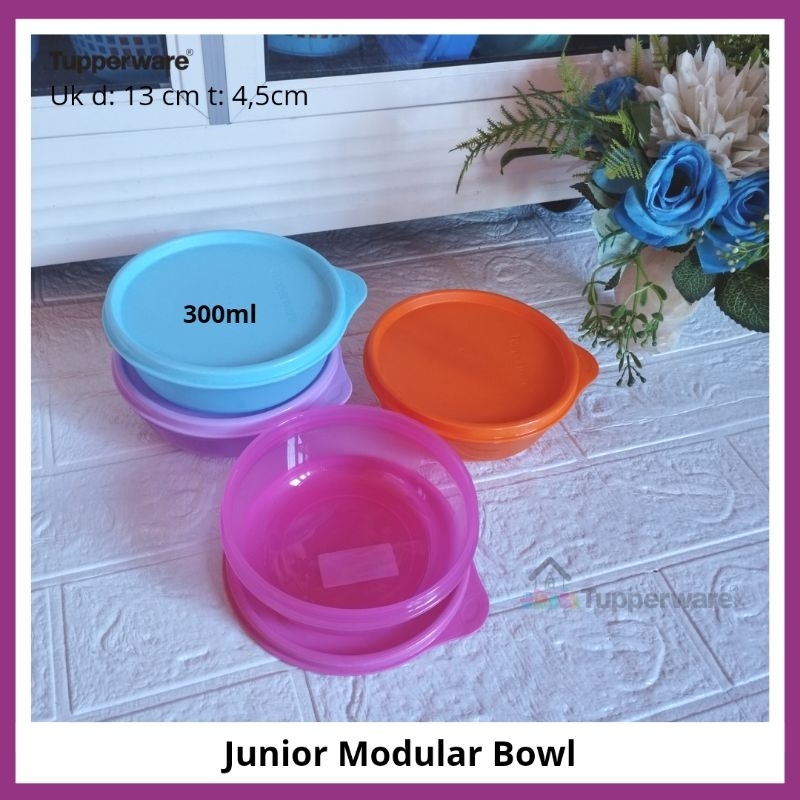 Jual Junior Modular Bowl 300ml Promo Tupperware | Shopee Indonesia