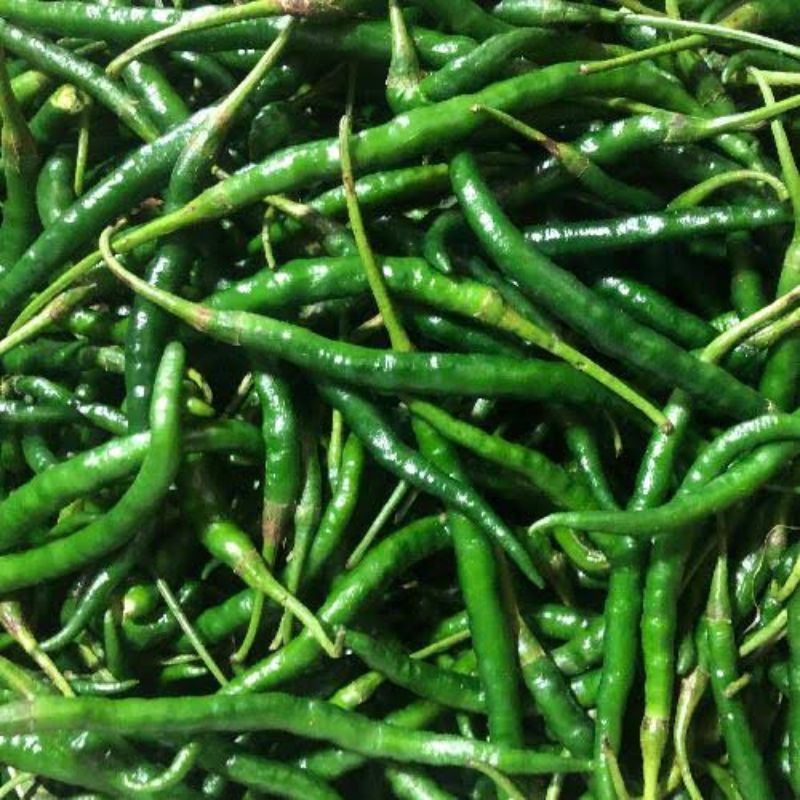 Jual Cabe Hijau Keriting 500gram | Cabai Ijo Kriting | Shopee Indonesia