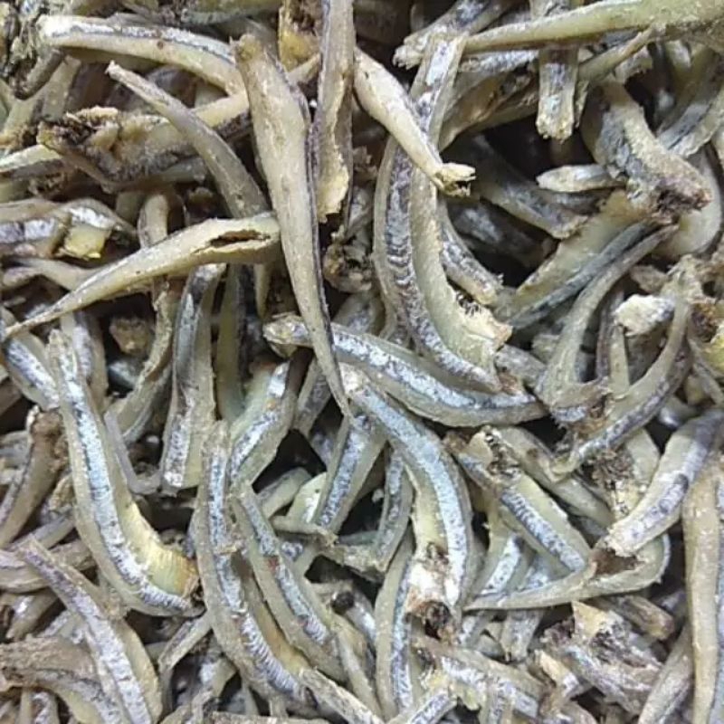 Jual IKAN TERI KHAS KEPULAUAN MENTAWAI ikan layang cumi kering ikan ...