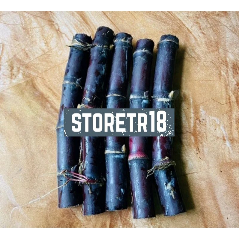 Jual Batang Tebu Hitam Tebu Ireng Tebu Wulung Paket 5 Batang | Shopee ...