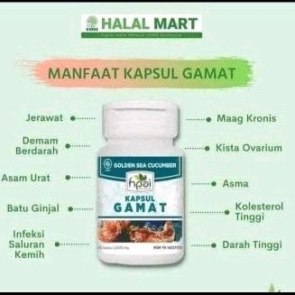 Jual Gamat kapsul HNI, mempercepat penyembuhan luka, anti inflamasi ...