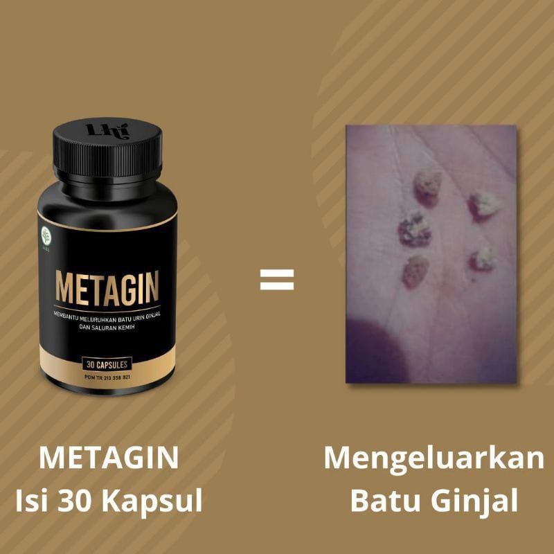 Jual (PROMO) Metagin Asli 100% Original Obat Herbal Penghancur Batu ...