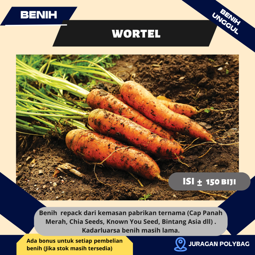 Jual 150 - benih wortel kuroda ew cap panah merah benih bibit sayuran ...