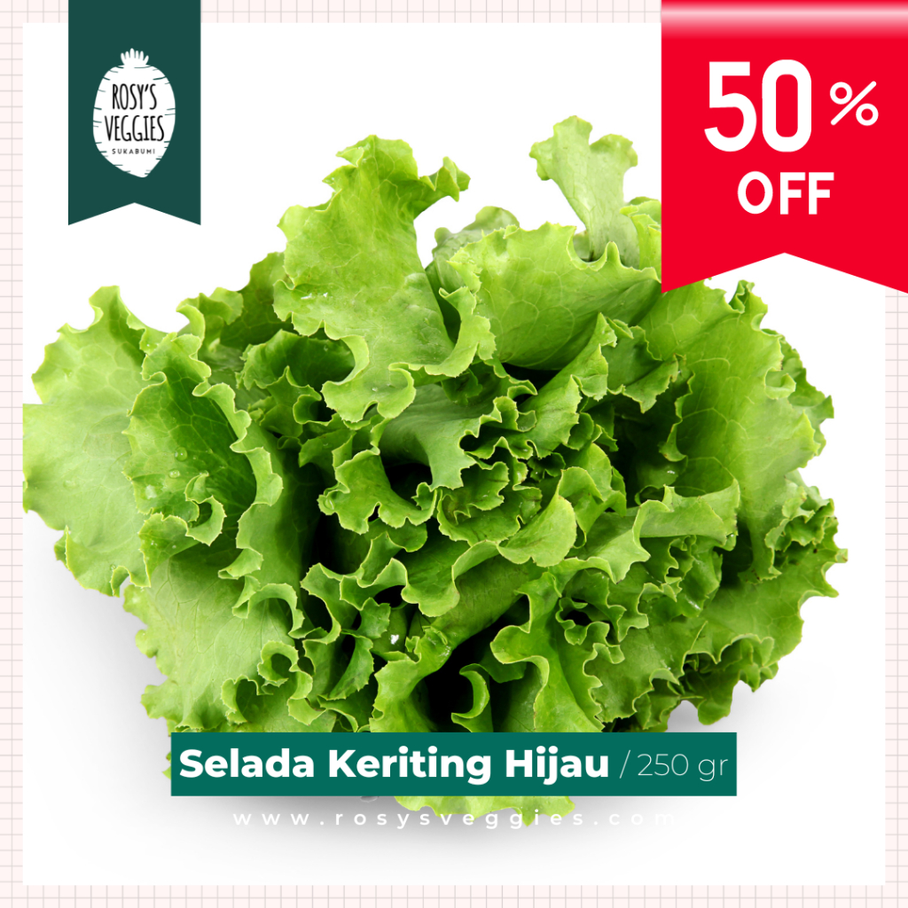 Jual Selada Keriting Hijau Organik | 250 gr | Shopee Indonesia