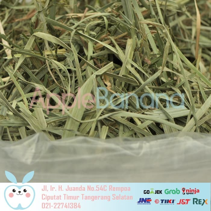 Jual Orchard Hay 500gr RHH Rumput Hay Orchard Rabbit Hole Hay 500gr ...