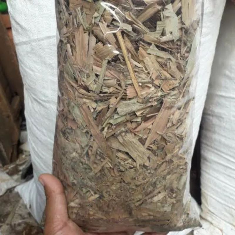 Jual Daun bambu kering 1 kg media tanam | Shopee Indonesia