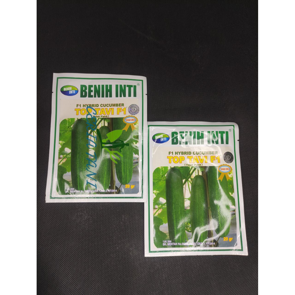 Jual Benih Timun Top Tavi 20gr Benih Inti | Shopee Indonesia