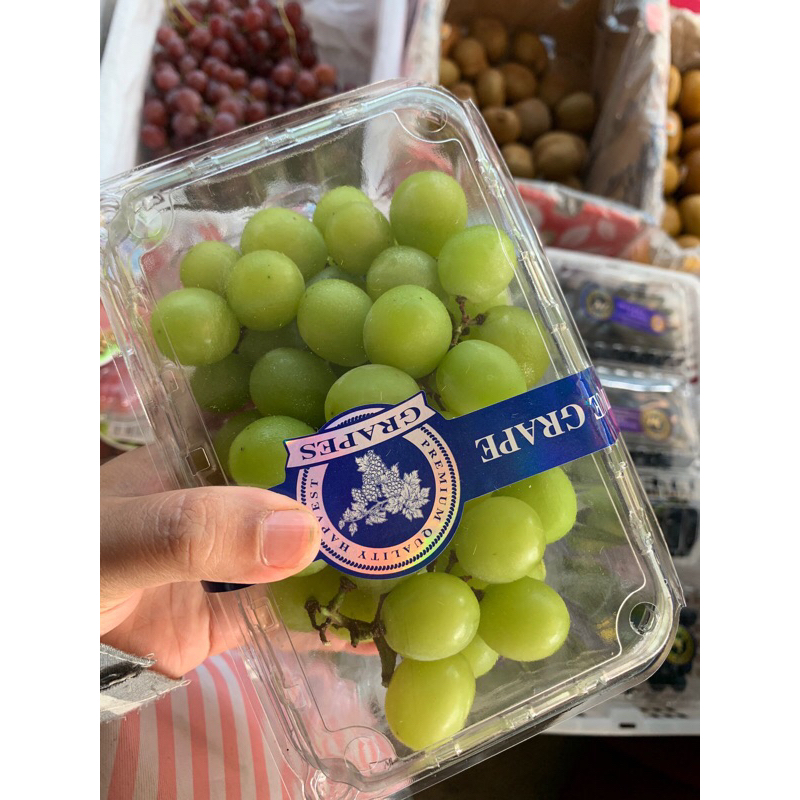 Jual Anggur Muscat(500gram) | Shopee Indonesia
